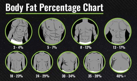 Body Composition: What You Need to Know (+ How to Change Yours for the ...