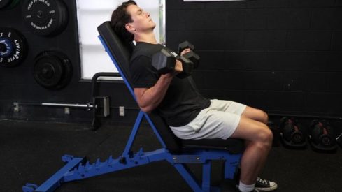 Do the Incline Dumbbell Curl to Double Down on Your Arm Gains | BarBend