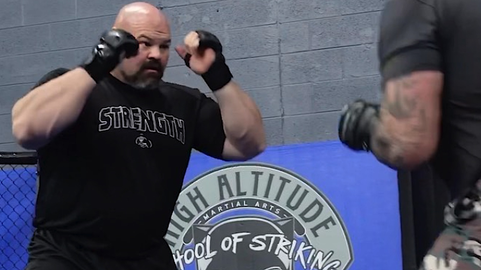 Brian Shaw's Mixed Martial Arts Debut Postponed | BarBend