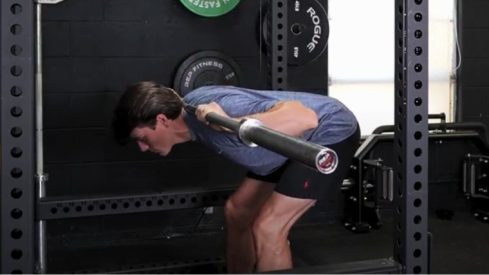 15 Exercises for Lower Back Pain and Strength | BarBend