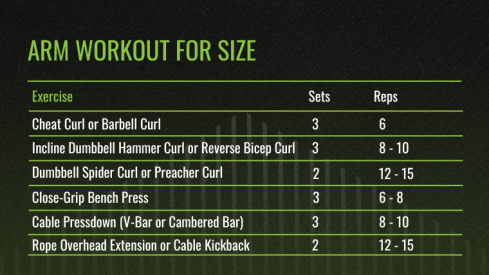 The 10 Best Arm Exercises for Strength and Definition | BarBend