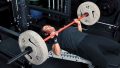 The 5 Best Bench Press Programs to Help You Lift More | MuscleChemistry