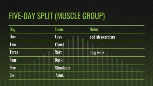 The Best Workout Splits for Muscle and Strength | BarBend
