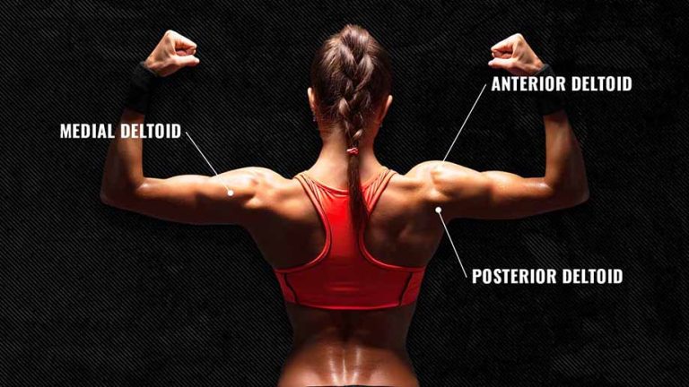 13 Best Shoulder Exercises and Workouts for Stronger Delts | BarBend