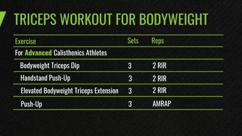 The 15 Best Tricep Exercises for Building Muscle | BarBend