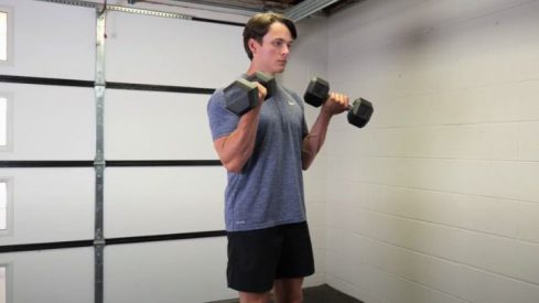 The Best Forearm Exercises for Strength, Plus 4 Workouts | BarBend