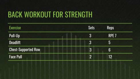 12 Best Back Exercises for Strength and Pain Prevention | BarBend