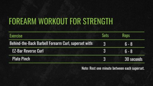 The Best Forearm Exercises for Strength, Plus 4 Workouts | BarBend