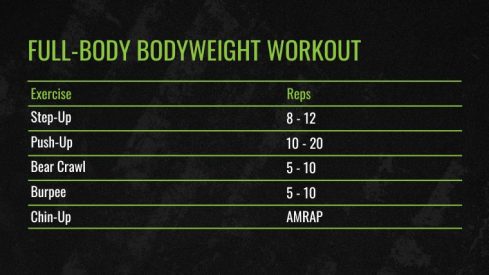 The 15 Best Bodyweight Exercises for Full Body Training | BarBend