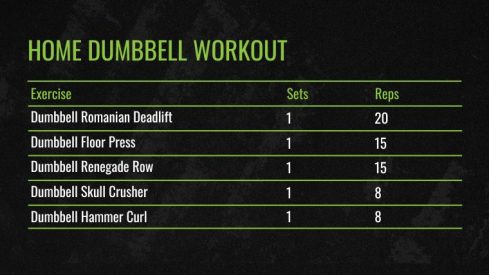 Best Dumbbell Exercises for Muscle Gain, Plus 3 Workouts | BarBend