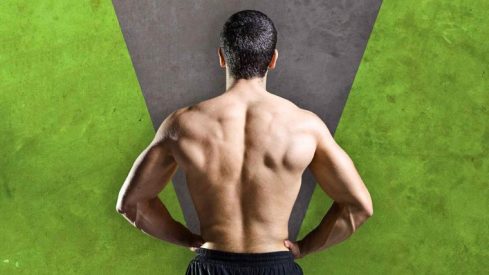 How To Get a V-Taper: Workouts and Training Tips From a PhD Bodybuilder ...