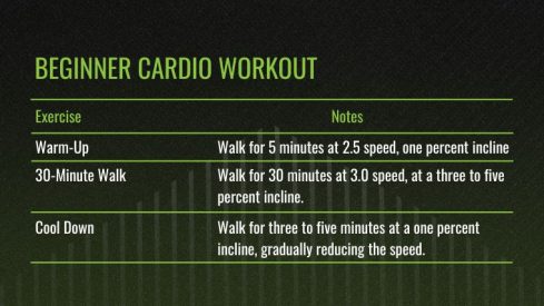 The 12 Best Cardiovascular Exercises, Plus Cardio Workouts From a CPT ...