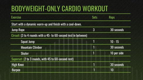 The 12 Best Cardiovascular Exercises, Plus Cardio Workouts From a CPT ...