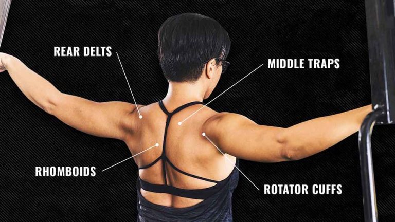 How to Do the Reverse Flye, Plus Variations & Alternatives From a CPT ...