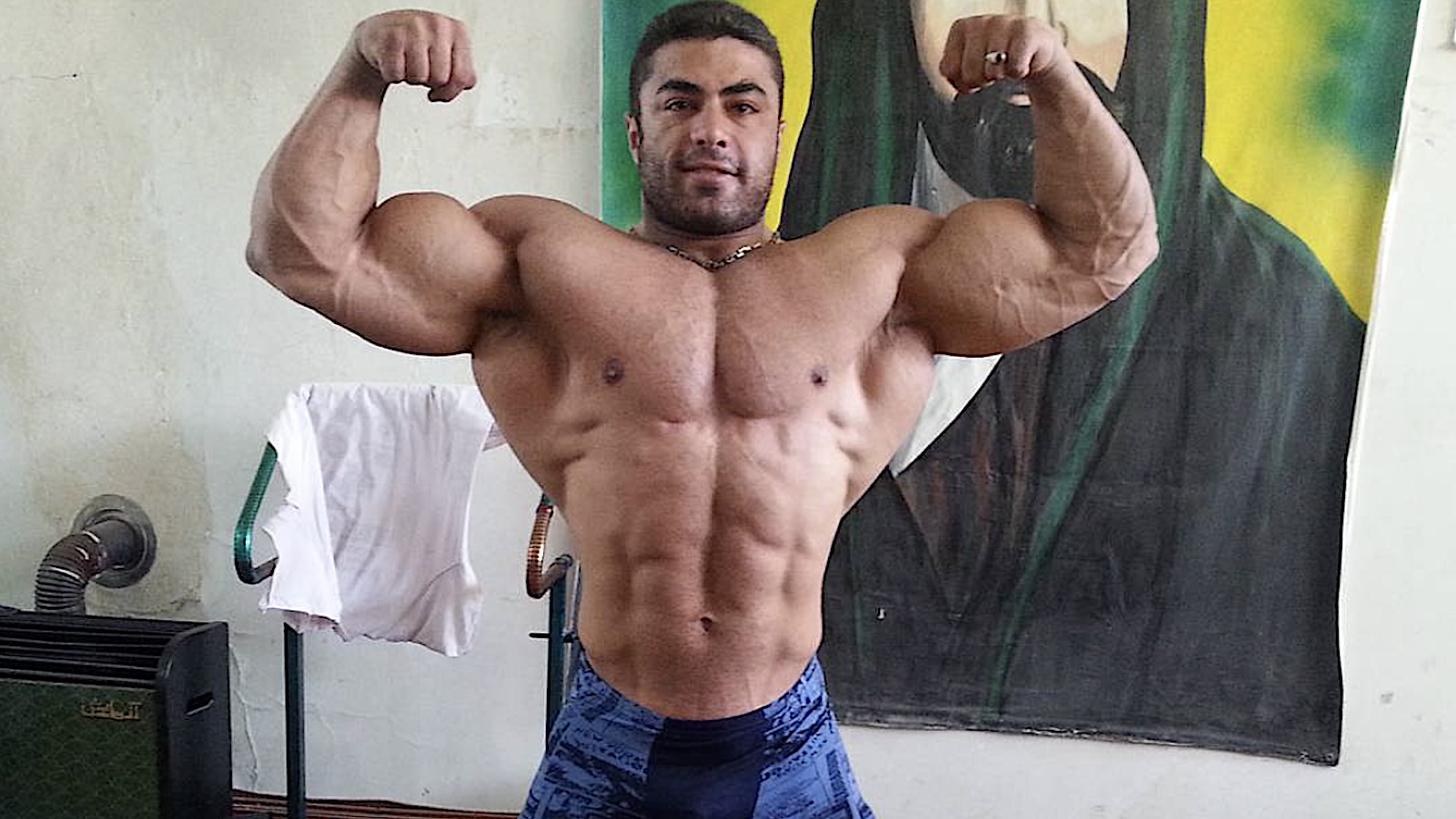 2024 Flex Weekend Pro Bodybuilding Show Results — Behrooz Tabani Wins ...