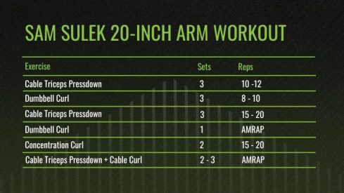 The Bulking Workout Sam Sulek Used To Grow 20-Inch Arms | BarBend