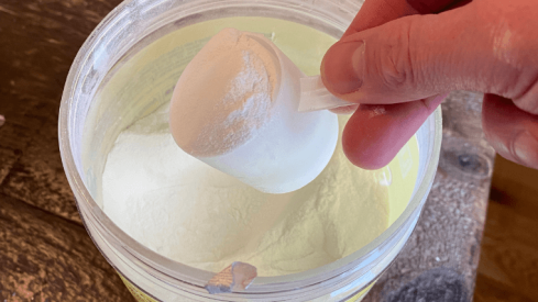 7 Types of Protein Powder Explained: Which Is Best For You? | BarBend