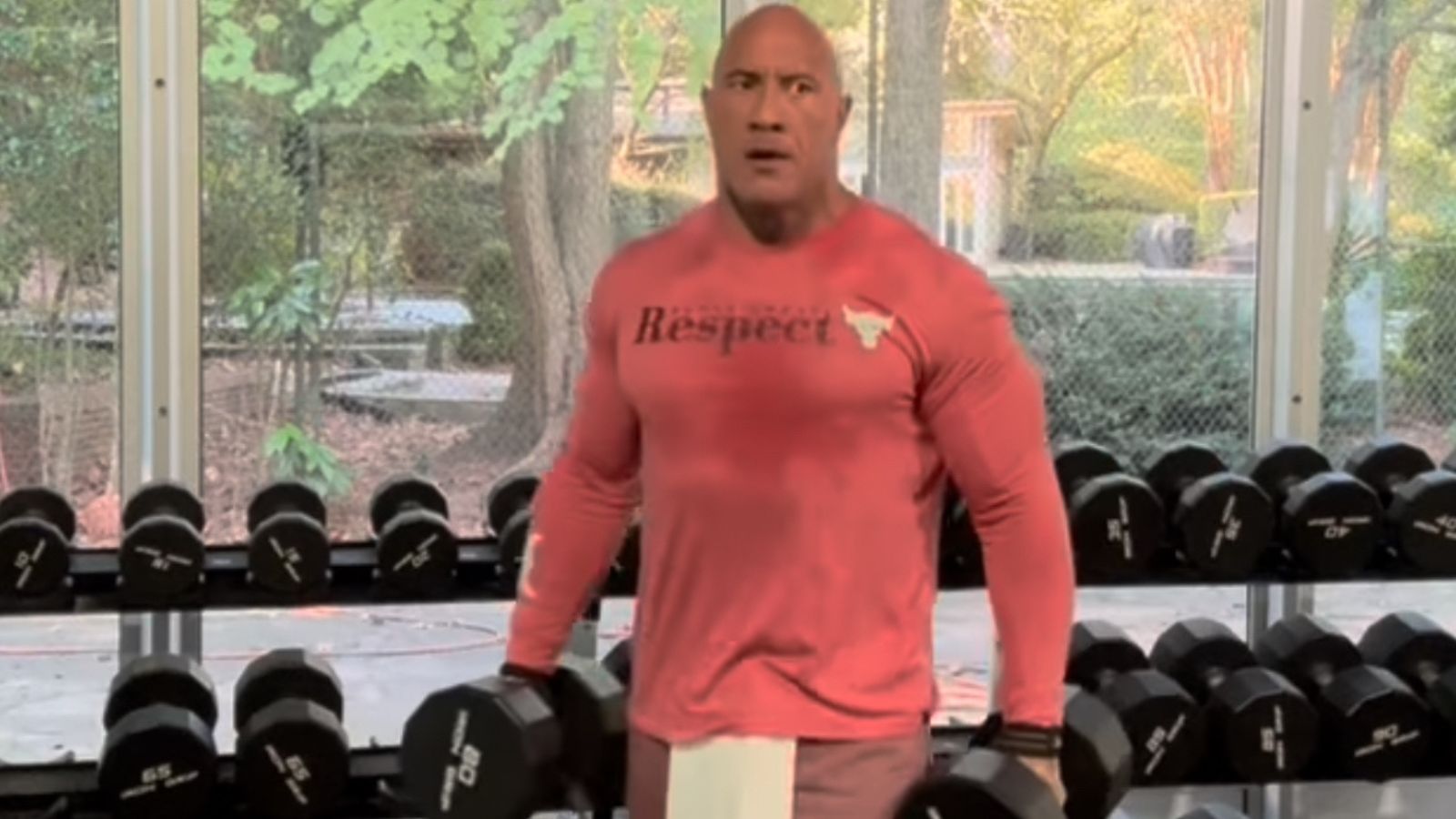 Dwayne Johnson's Go-To Back Exercise | BarBend